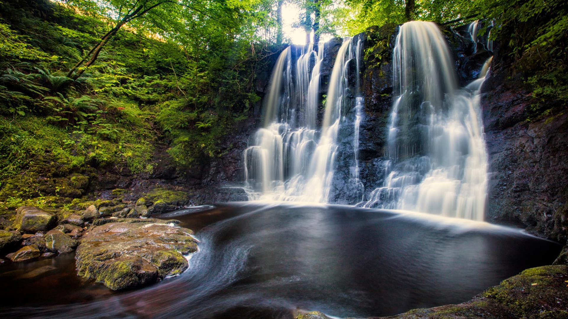 Glenariff Forest Park - Cargan - Discover Northern Ireland