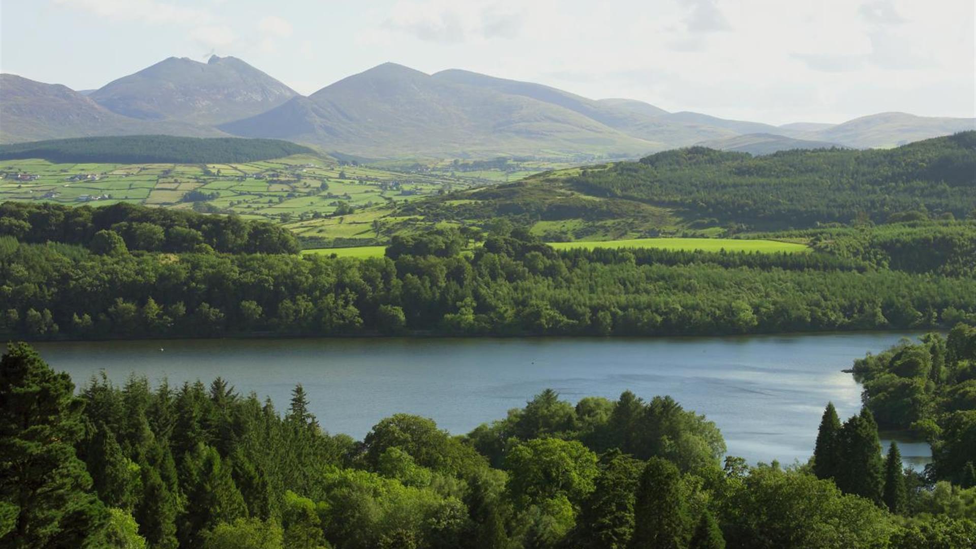 Castlewellan Forest Park & Peace Maze - Castlewellan - Discover ...