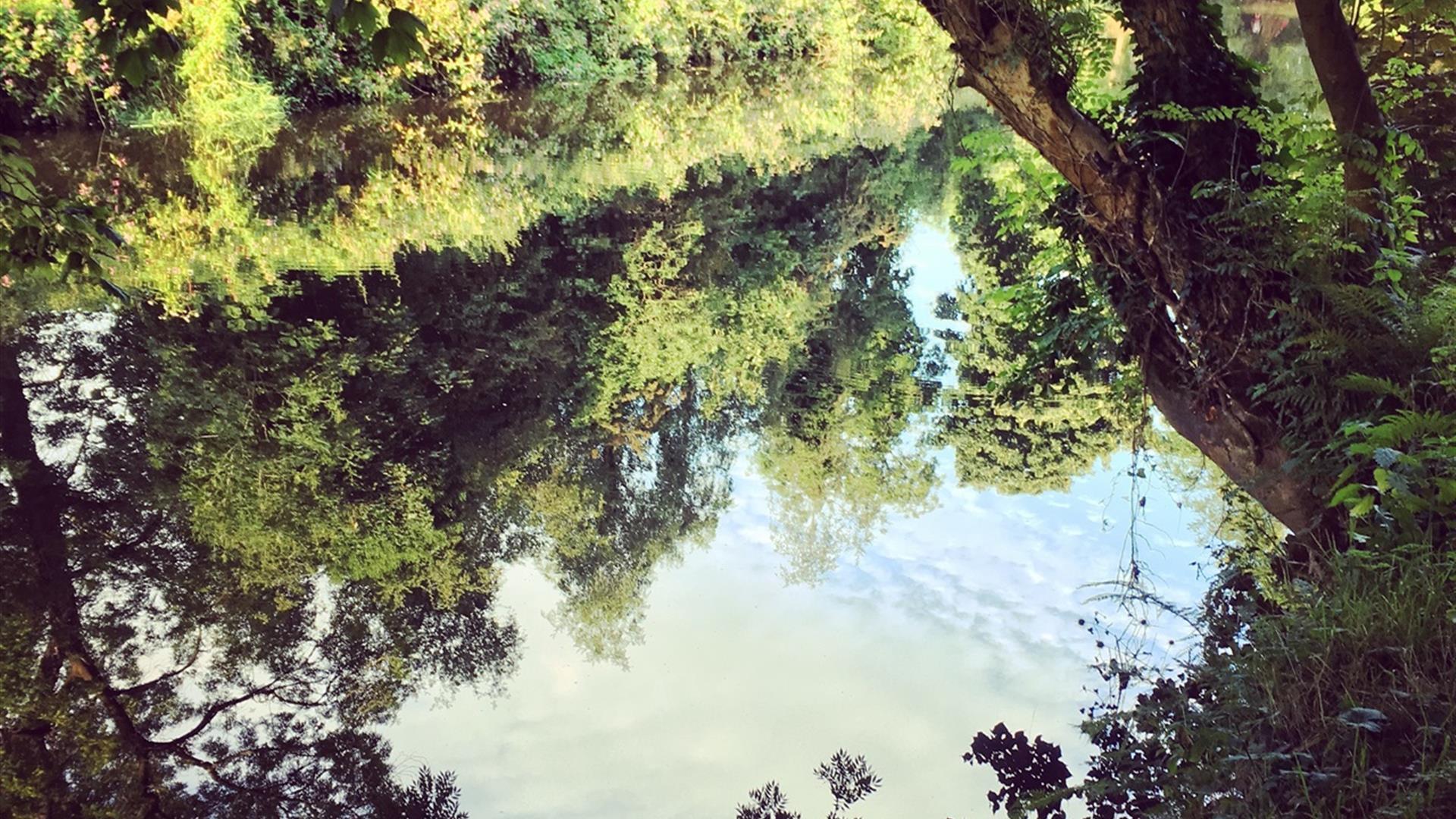 Lagan Towpath - Walking & Hiking in Co Down - Discover Northern Ireland